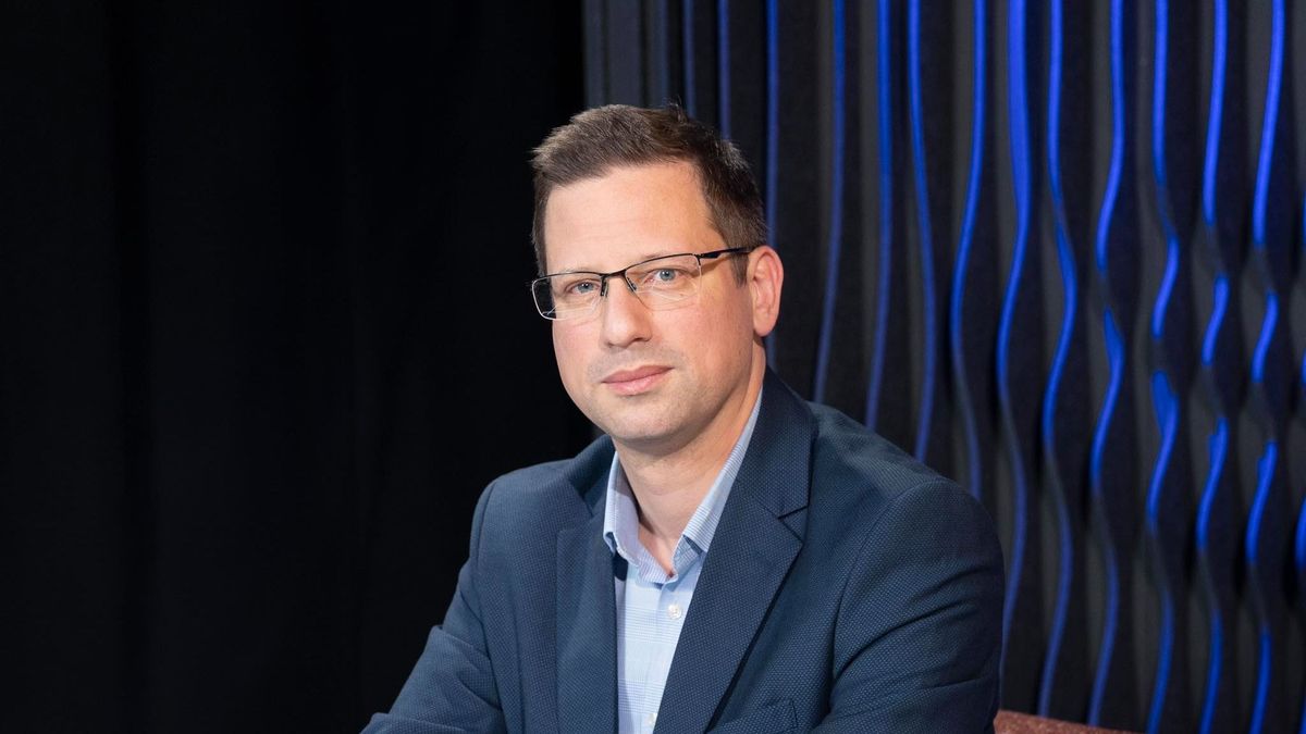 Gulyás Gergely: Diktatúrában szokás a köztársasági elnököt erőszakkal ...